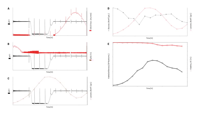 Digitalization And State Of Routine Bioprocess Monitoring And Control